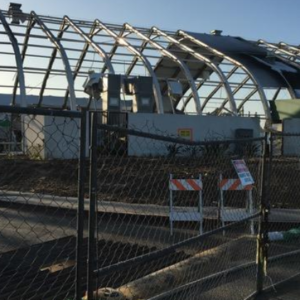 Gallery - Giant Tents